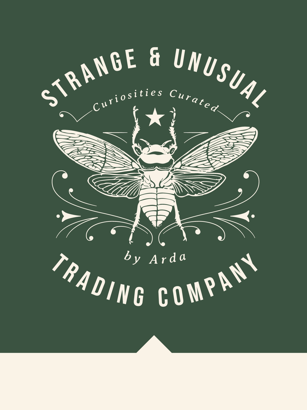 Exceptional Collectibles and Curiosities – Strange and Unusual Trading Co.